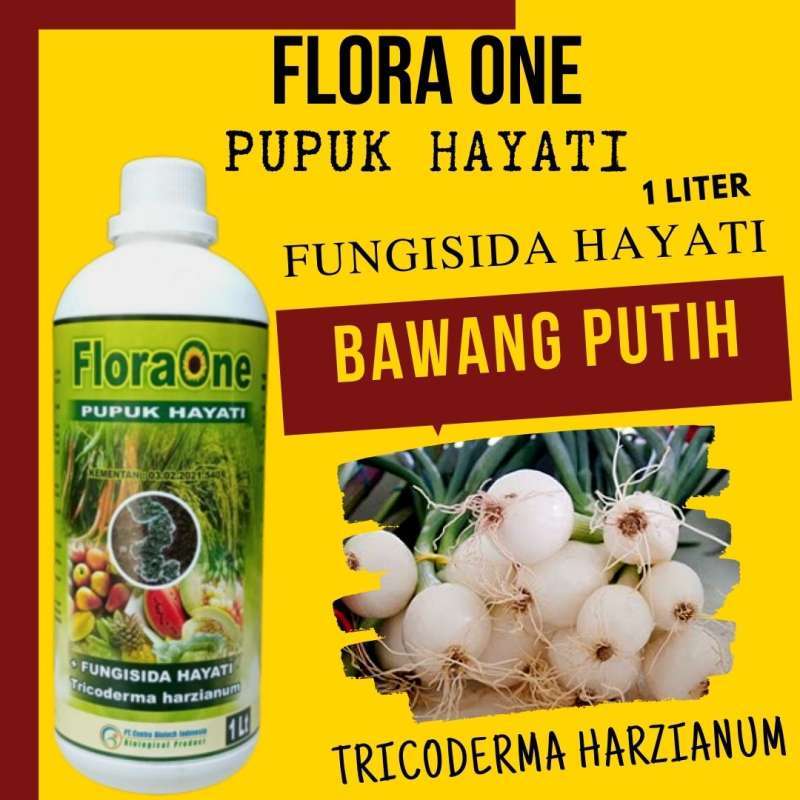 Promo Tricoderma Cair Fungisida Hayati Atasi Busuk, Pupuk Hayati Untuk ... Promo Tricoderma Cair Fungisida Hayati Atasi Busuk, Pupuk Hayati Untuk ...