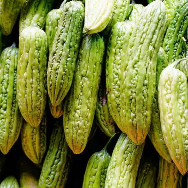 Jual Pare/Sayur Pare/Pare Segar 500 gram Halal di Seller Sabrina Sayur ...