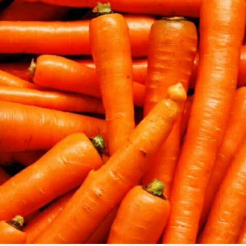 Jual Sayur Wortel Lokal Segar 1/2 Kg - 500 Gram Di Seller Sayurwoori ...