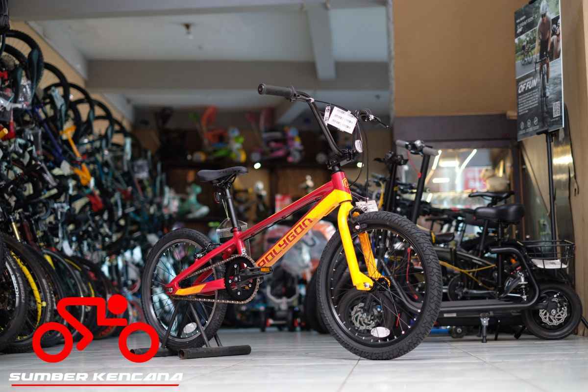 Sepeda BMX Polygon Original Model Terbaru Juni 2024