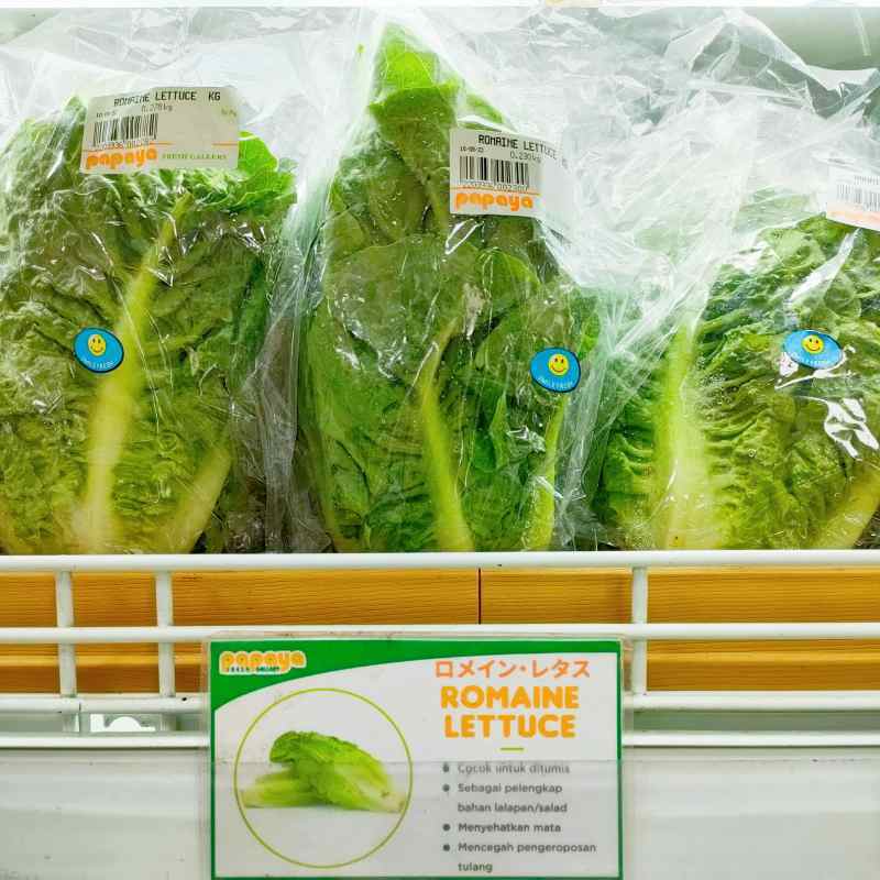 Jual Sayuran Romaine Lettuce / Selada Hijau 500 Gr Halal di Seller ...