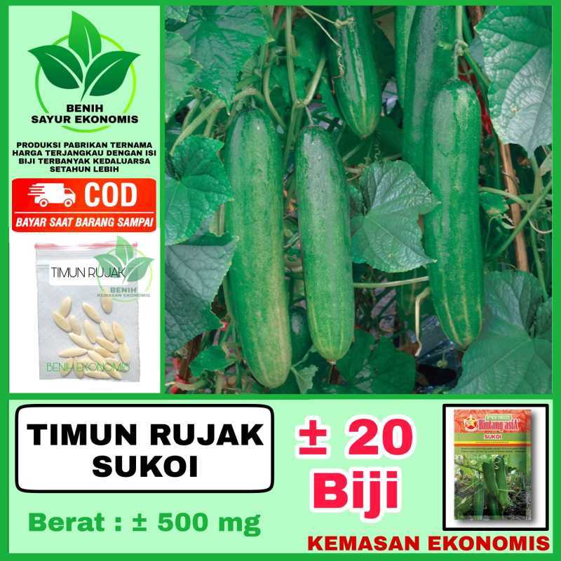Promo Benih Timun Rujak Sukoi Timun Halus Tanpa Duri Bintang Asia Benih ...