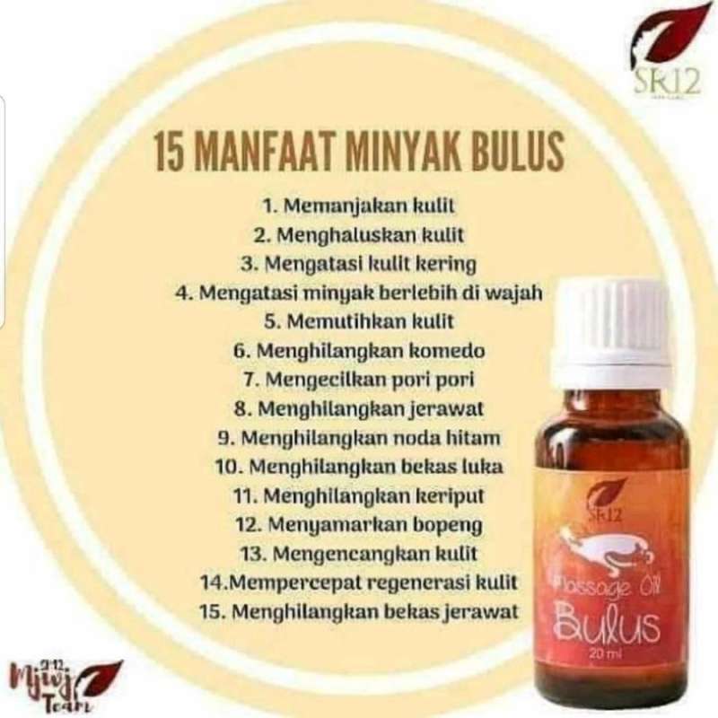 Jual Minyak Bulus Sr12 Wangi Berkhasiat Solusi Perawatan Wajah Dan ...