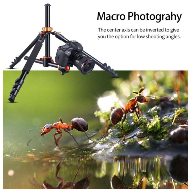 Jual Knf Concept Detachable Monopod & Transverse Center Column S211 ...