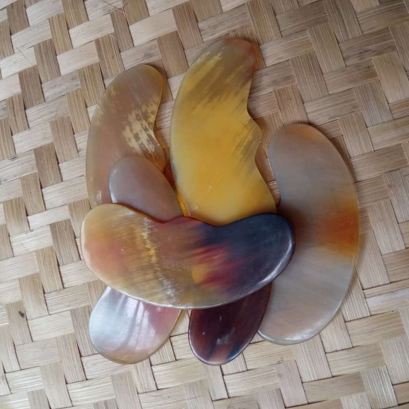 Jual Alat pijat terapi guasa tanduk sapi model lempeng kacang corak ...