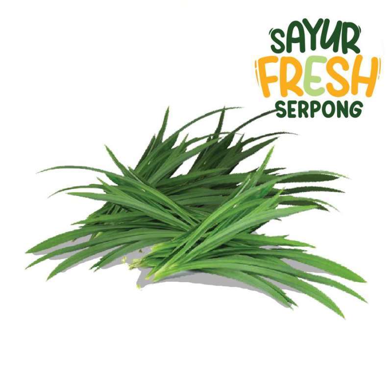 Jual Daun Pandan - Per Ikat Halal di Seller SAYUR FRESH SERPONG ...