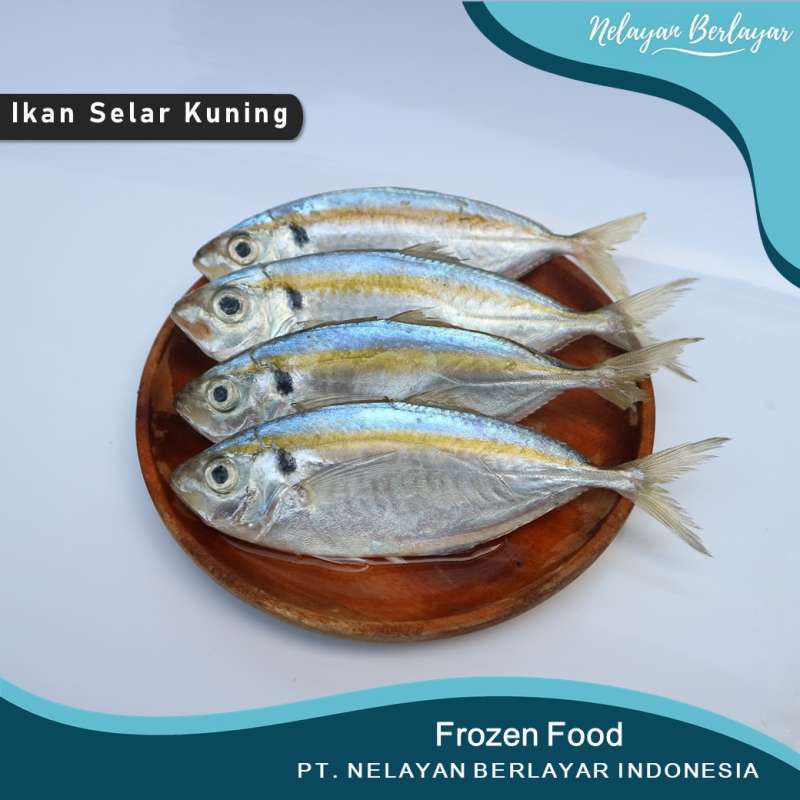 Promo Ikan Selar Segar / Ikan Selar Kuning [ 500gram ]- Nelayan ...