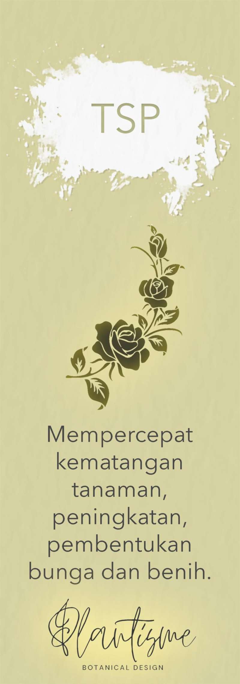 Jual Pupuk - TSP Triple Superphosphate Memperbanyak Bunga Biji Umbi ...