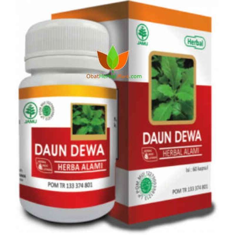 Jual KAPSUL DAUN DEWA HERBAL INDO UTAMA, OBAT DAUN DEWA UNTUK TUMOR ...