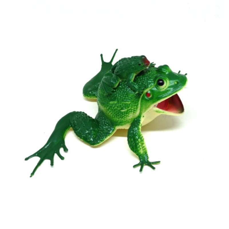 Jual Mainan Kodok Karet Katak Hijau Besar Dapat Bunyi Di Seller Toko ...