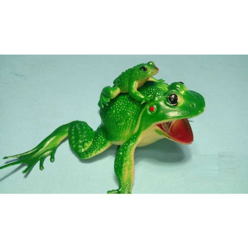 Jual Mainan Kodok Karet Katak Hijau Besar Dapat Bunyi Di Seller Toko ...