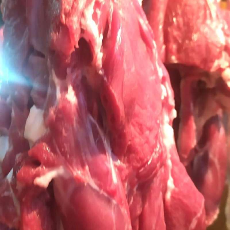 Jual DAGING KAMBING SEGAR 1.0kg di Seller Suplier Daging Sapi Bandung ...