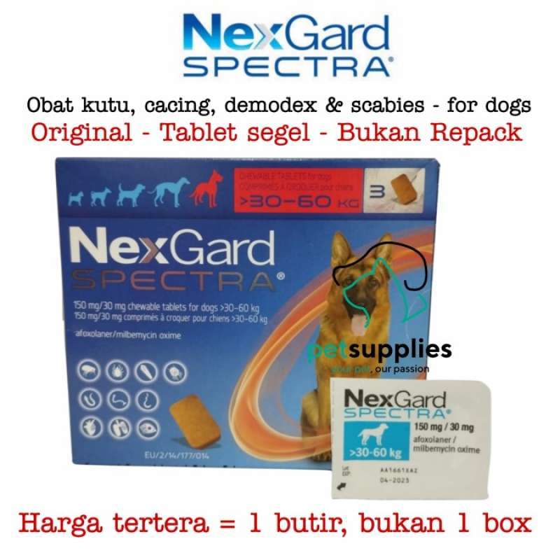 Jual Obat Kutu Anjing Demodex Scabies NEXGARD SPECTRA Ukuran XL Harga 1 ...