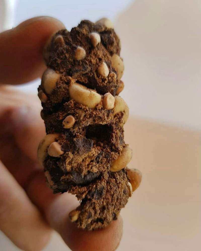 Jual Kopi Gayo Green Bean Arabika Luwak 1 Kg - Sprinkles Gayo Coffee Di ...