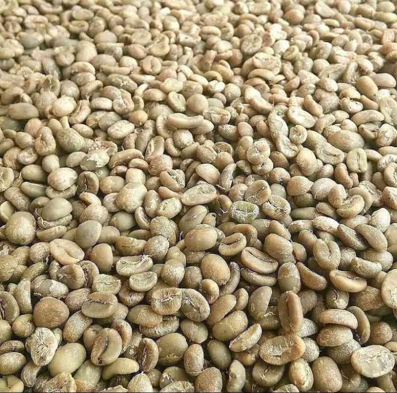 Jual Kopi Gayo Green Bean Arabika Luwak 1 Kg - Sprinkles Gayo Coffee Di ...