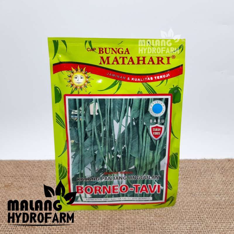 Jual Benih Kacang Panjang Borneo Tavi 50 Gram Cap Bunga Matahari Bibit ...