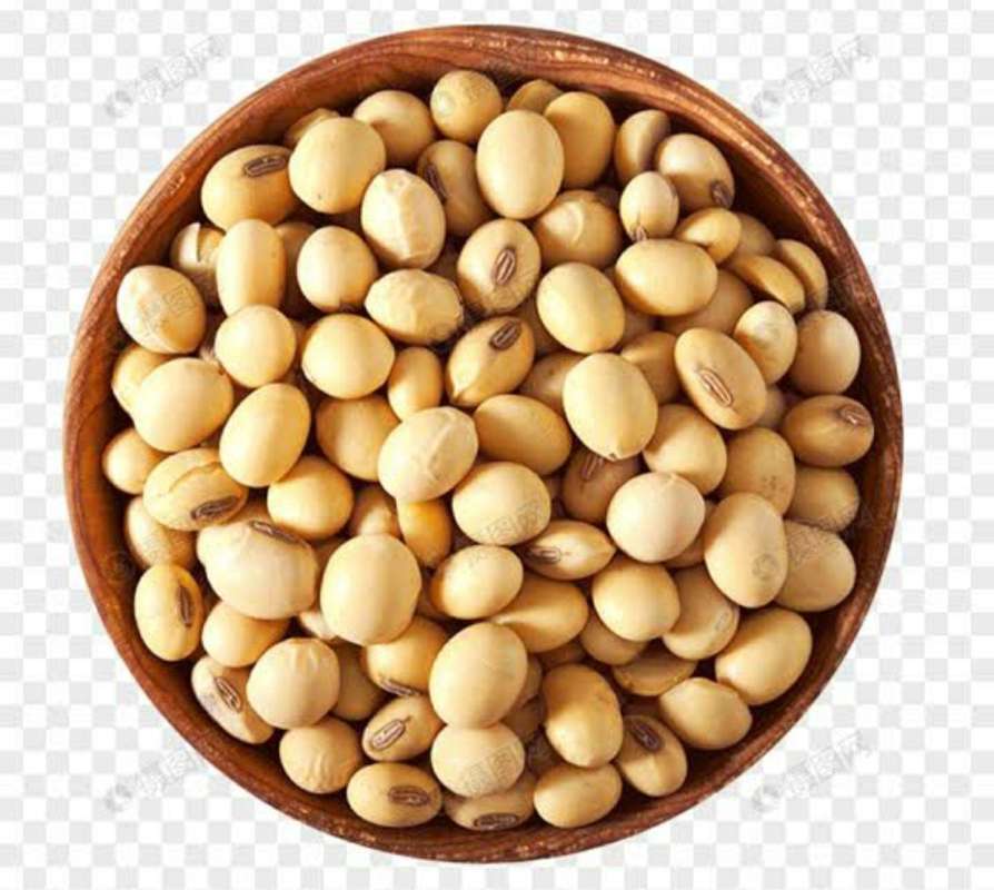 Kacang Soya Putih - Soya Nutrisi