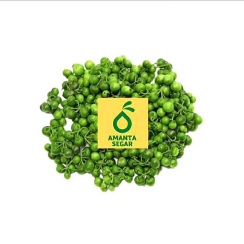 Jual Sayur leunca oncom sayuran lenca super 500gr di Seller Amanta ...