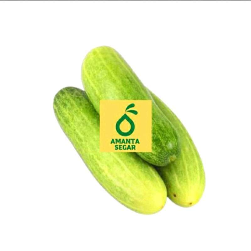 Jual Sayur Timun Lokal Segar 1kg per Box - Bogor Fresh di Seller Amanta ...