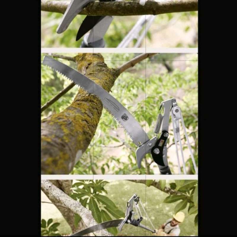 Jual Galah Potong Dahan Ranting Pohon Gergaji Galah 5m Set Tongkat Di ...