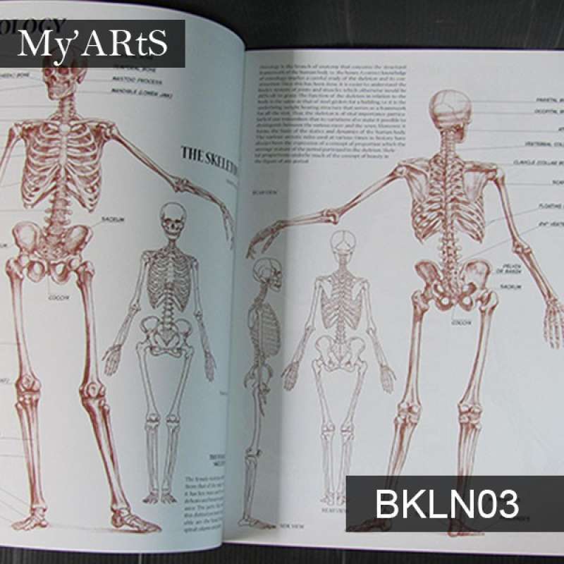Jual Leonardo Collection Books No 4 Anatomy For Artists Buku Belajar ...
