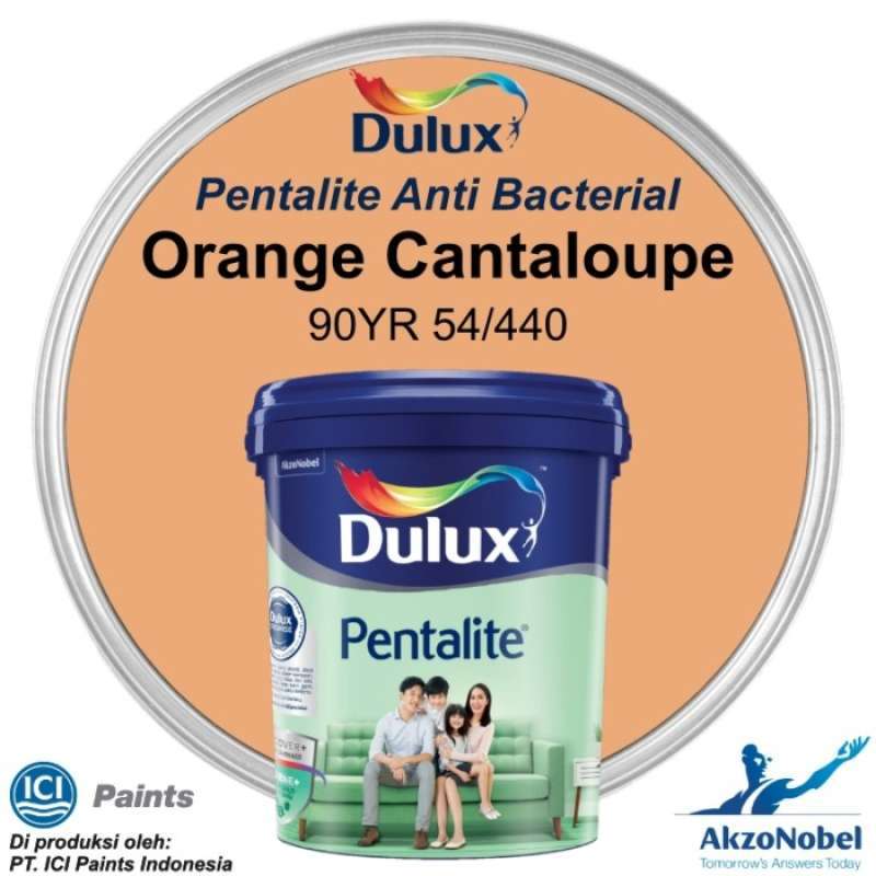 Jual CAT DULUX PENTALITE 20 LT - ORANGE CANTALOUPE 90YR 54/440 di ...
