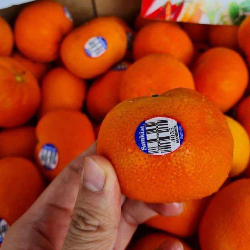 Jual Harvestmoon Jeruk Afourer Aussie Mini Per Kg Halal Di Seller ...