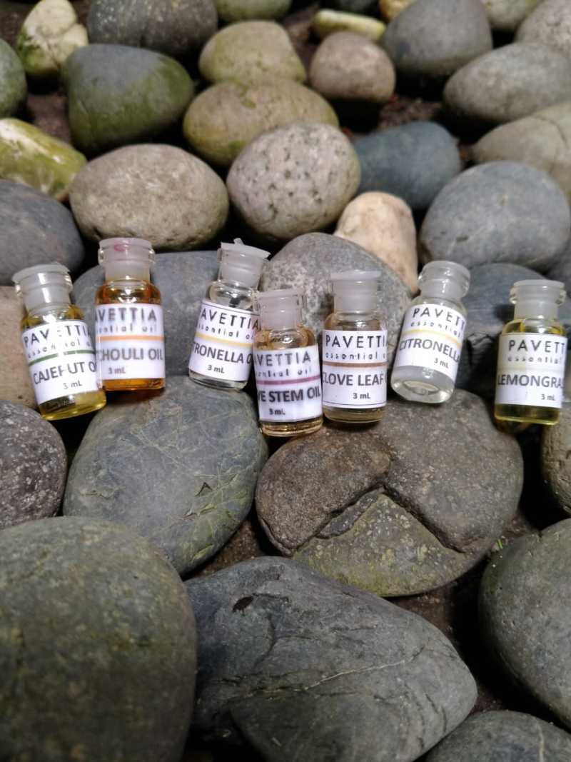 Jual Pavettia Pure Essential Oil Kemasan Sample Clove Steam 3ml ...