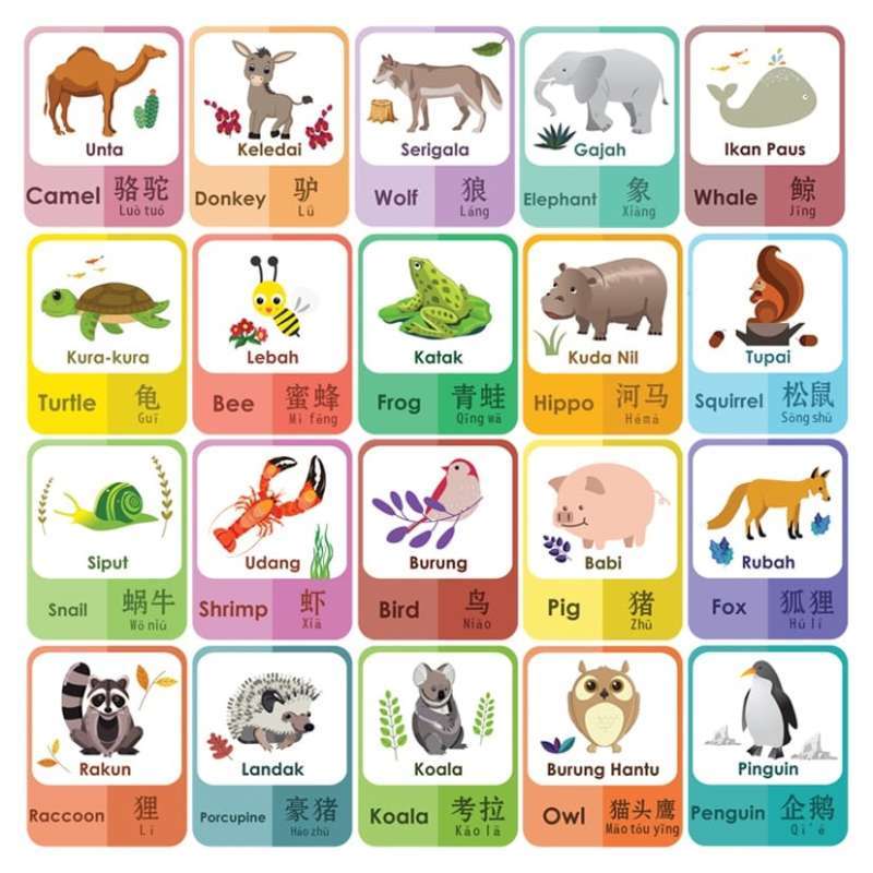 Jual Flashcard Pengenalan Nama Hewan 3 Bahasa / Kartu Pintar Anak ...