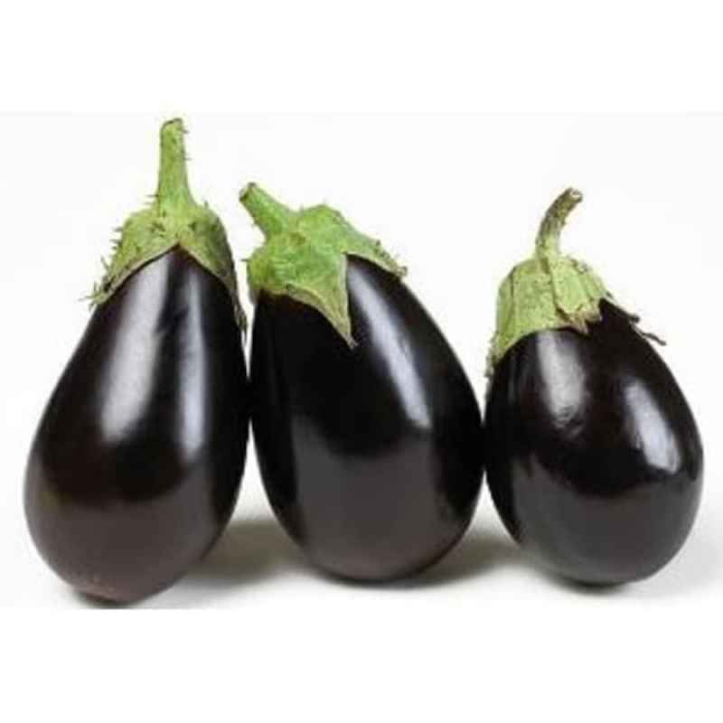Jual Terong Nasubi Segar Terong Jepang Nasubi Fresh 500gr Di Seller ...
