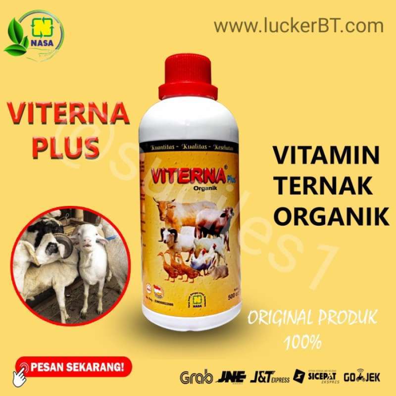 Promo Viterna Plus Vitamin Ternak Suplemen Ternak / Vitamin Kambing Dan ...