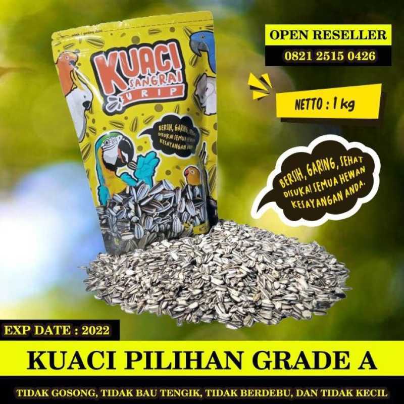 Jual aci Sangrai Untuk Burung Kakatua, Sun Conure, Falk 1Kg - Kuaci ...