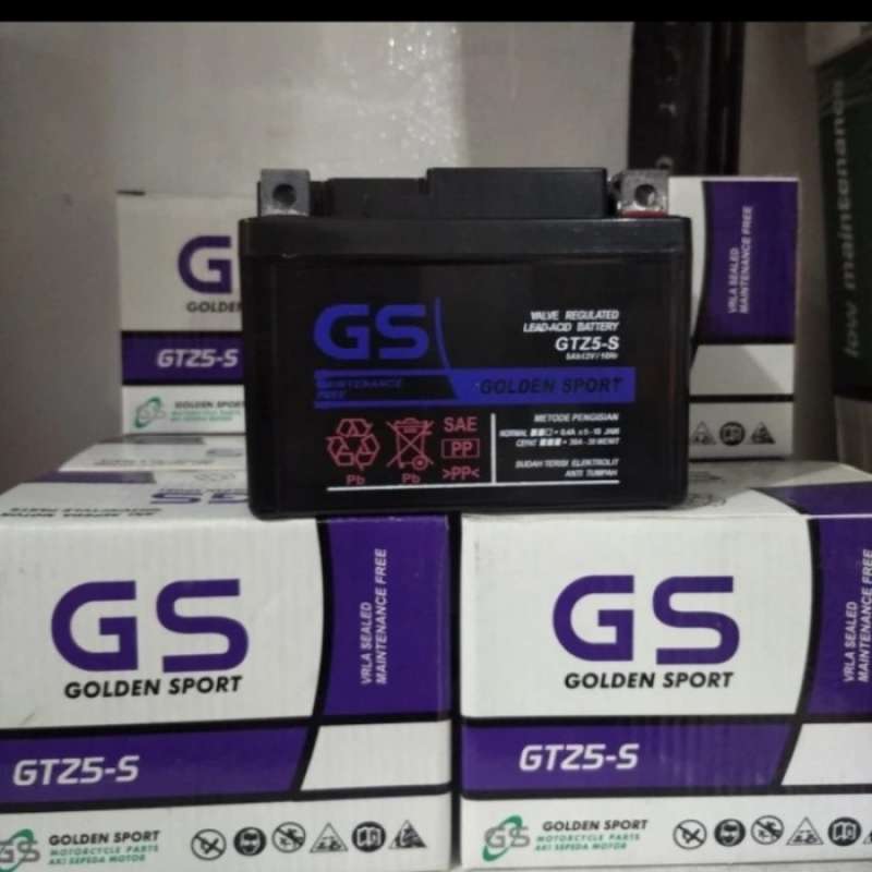 Jual Aki Gs Greensport Gtz5s Di Seller Tdr Autorace - Duren Tiga, Kota ...
