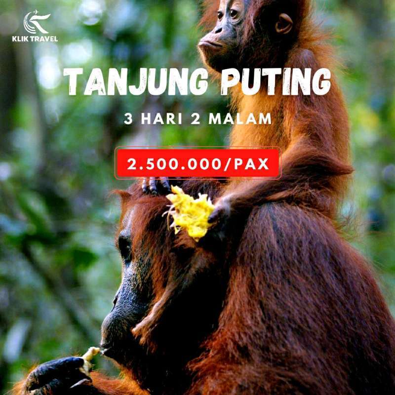 Panduan Wisata Taman Nasional Tanjung Puting - Blibli Friends
