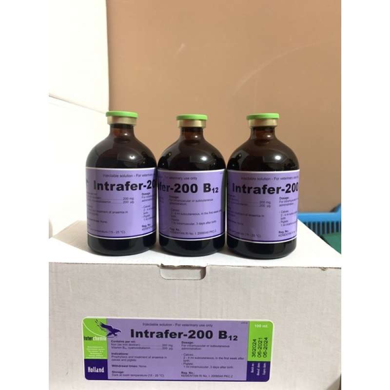 Jual Vitamin B12 Vial Termurah - Harga Grosir Terupdate Hari Ini | Blibli