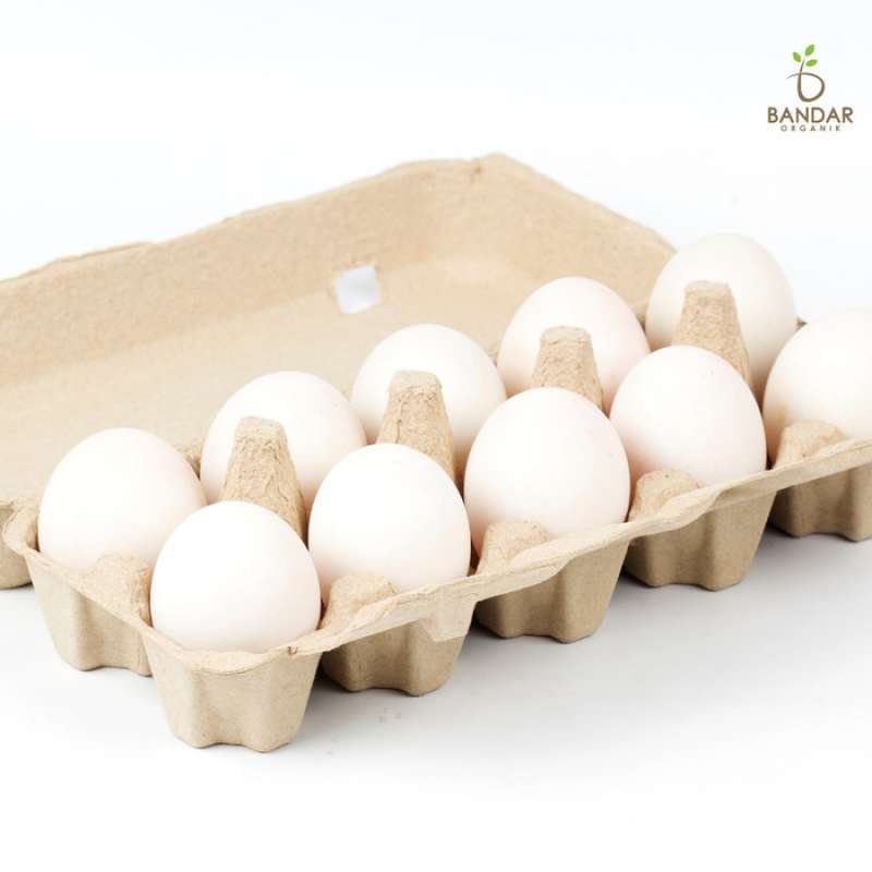 Jual Telur Ayam Kampung Organik - Berkah Pangan Sehat Di Seller ...
