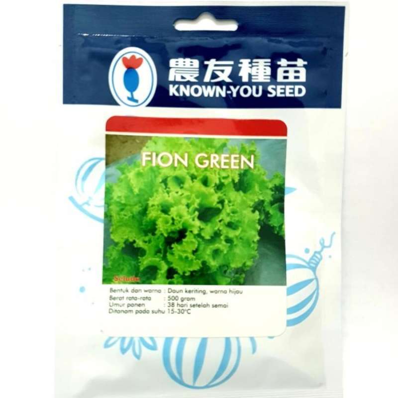 Jual Perkecambahan Benih Selada Original Murah - Harga Diskon April ...