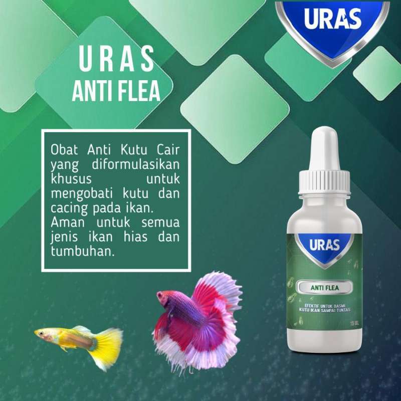 Jual Obat Anti Kutu Ikan Koi Cupang Mas Koki Guppy Louhan Molly Hias ...
