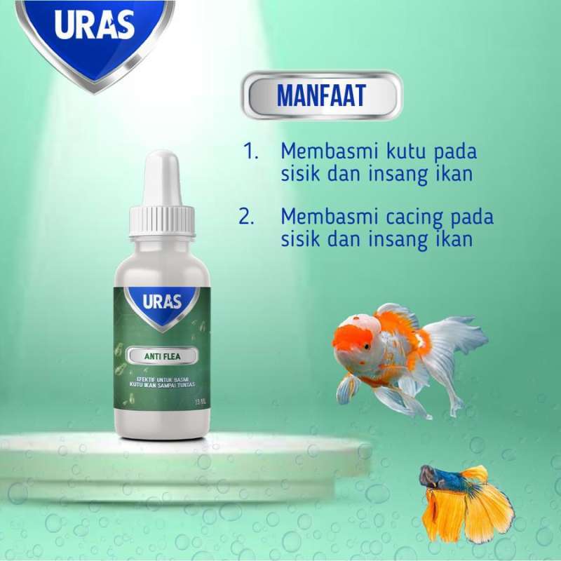 Jual Obat Anti Kutu Ikan Koi Cupang Mas Koki Guppy Louhan Molly Hias ...