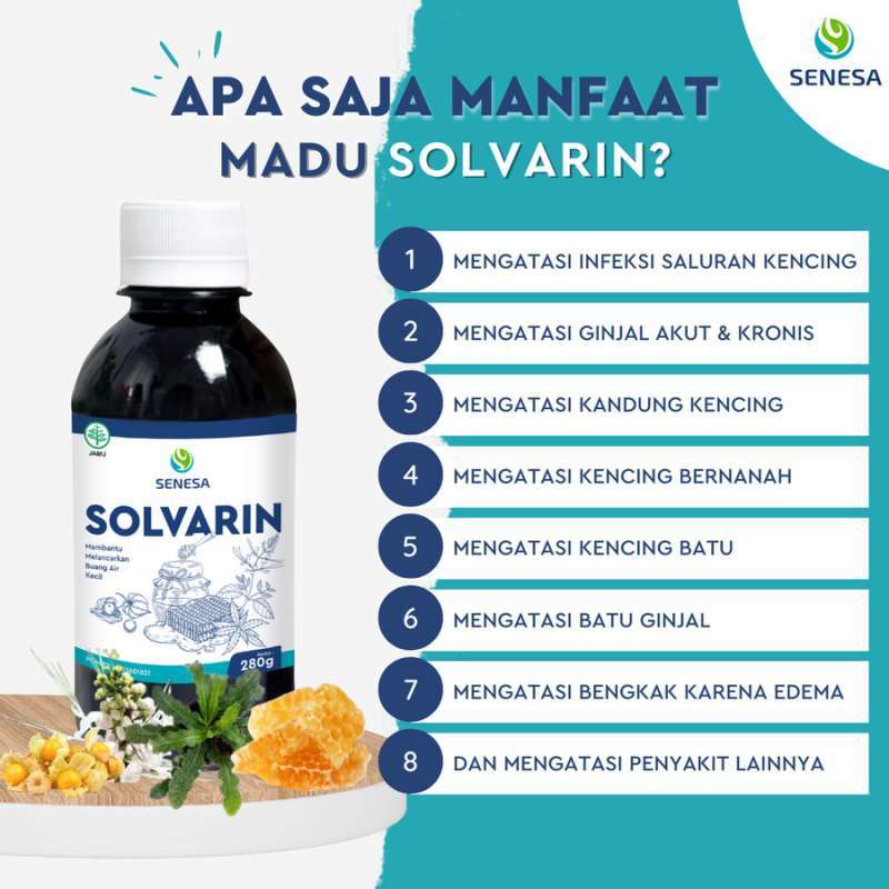 Jual Madu Solvarin Original Obat Sakit Ginjal Kencing Batu Nanah Darah ...