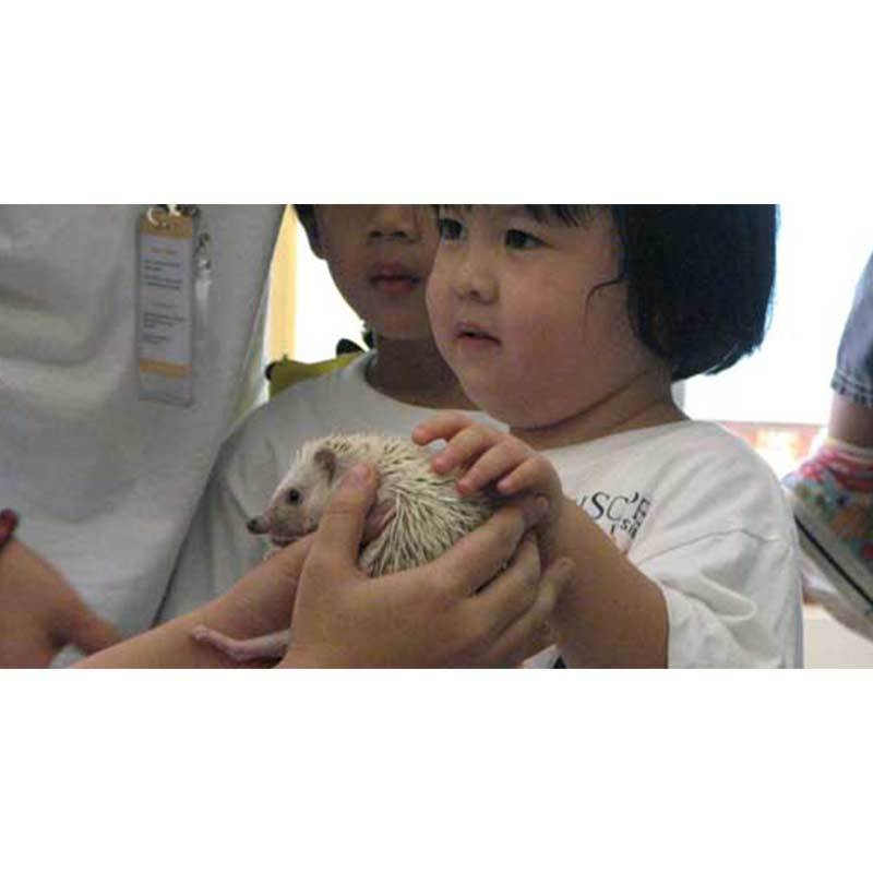 Jual Bfc Mini Farm Wisata Edukasi Untuk Anak Bintaro Di Seller Bfc Mini ...