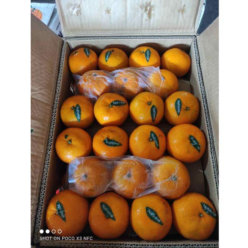 Jual JERUK KINO PAKISTAN (MANDARIN) PER 1 KG SEGAR - (KHUSUS PENGIRIMAN ...