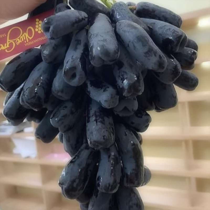 Jual Anggur Jari Sweet Sapphire [500 gr] Halal di Seller Rajanya Buah ...