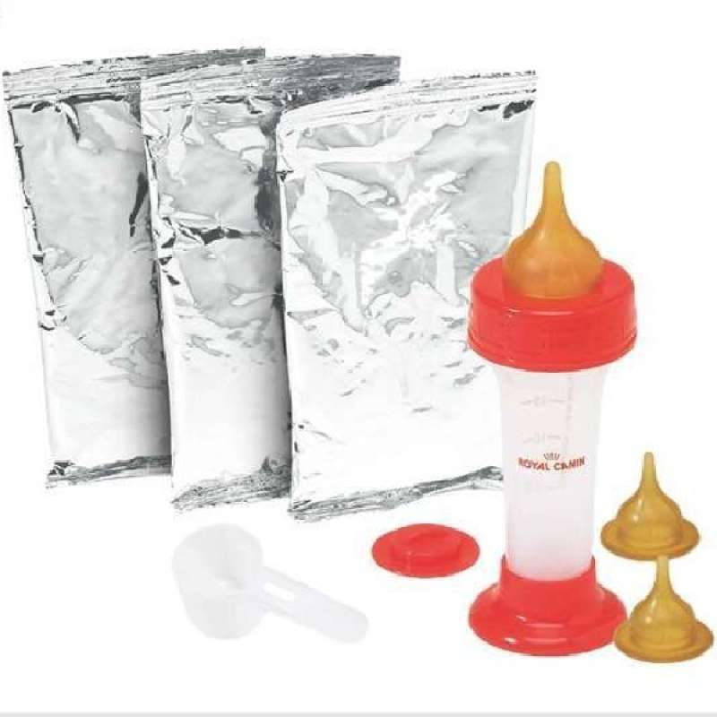 Susu Anak Kucing - Harga Terbaru Agustus 2024 | Blibli