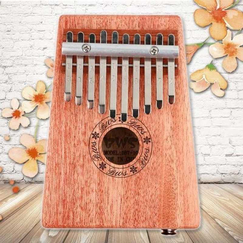 3 Jenis Alat Musik yang Lagi Viral di TikTok - Blibli Friends