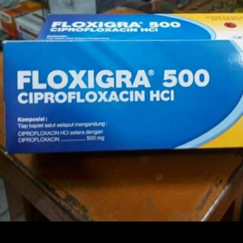 Jual Floxigra 500 Mg -Box di Seller Zona Sehatku - Rawa Badak Selatan ...
