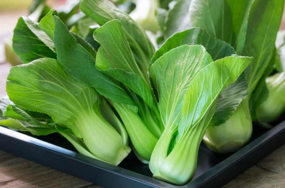 Jual Sayur Segar Baby Pakcoy/Coysam/Sawi Sendok/Pak Choy 100 gr / 1 kg ...