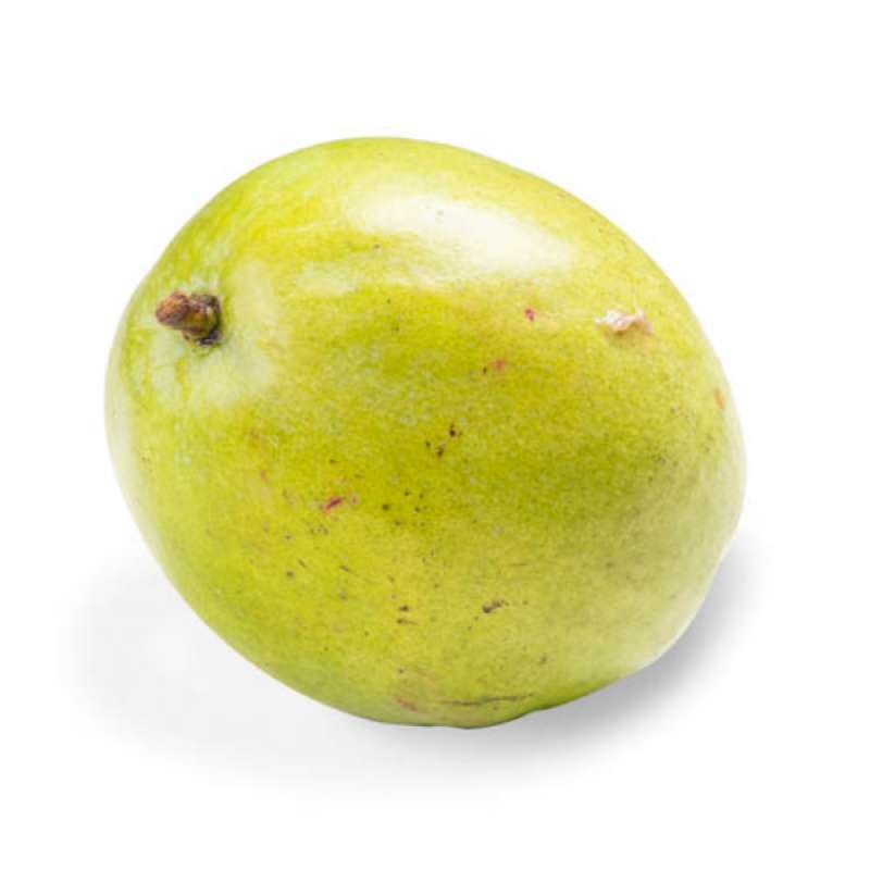 Jual Mangga Budi Raja 1kg Di Seller Chandra Buah - Jembatan Lima, Kota ...