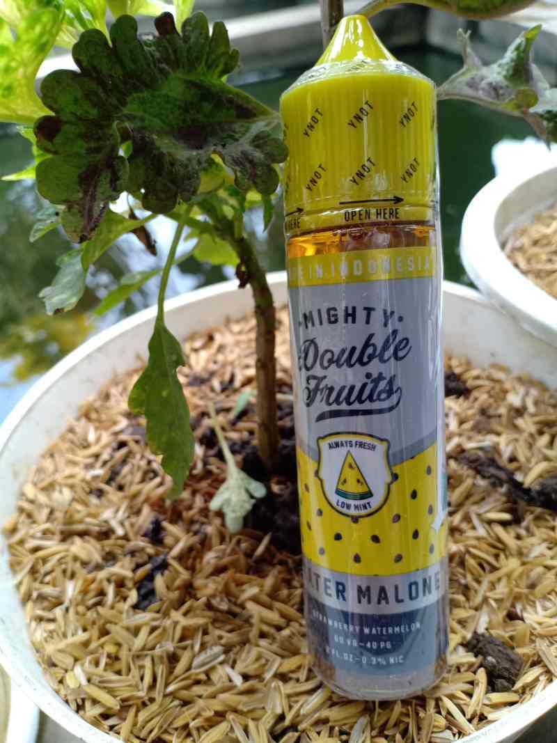 Jual Mighty Double Fruit di Seller koeltoer - Cilame, Kab. Bandung ...