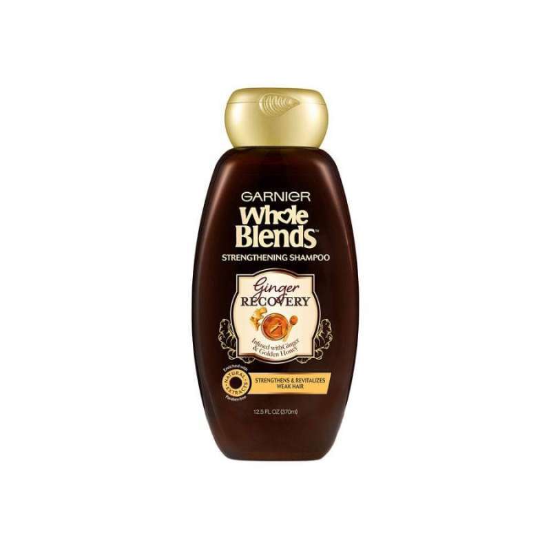Jual Garnier Whole Blend Ginger Recovery Strengthening Shampoo 370 Ml ...